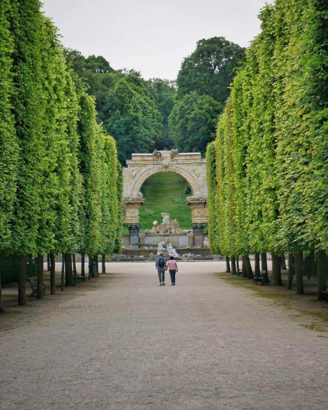 Wien | Viennaさんのインスタグラム写真 - (Wien | ViennaInstagram)「Beautiful symmetry ...