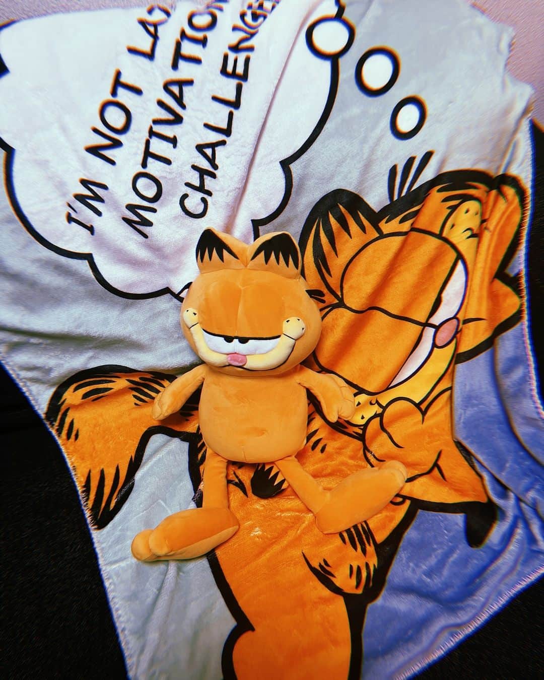 ミッチーさんのインスタグラム写真 - (ミッチーInstagram)「新入り @japan_garfield 🫶 LOFT @loft ...