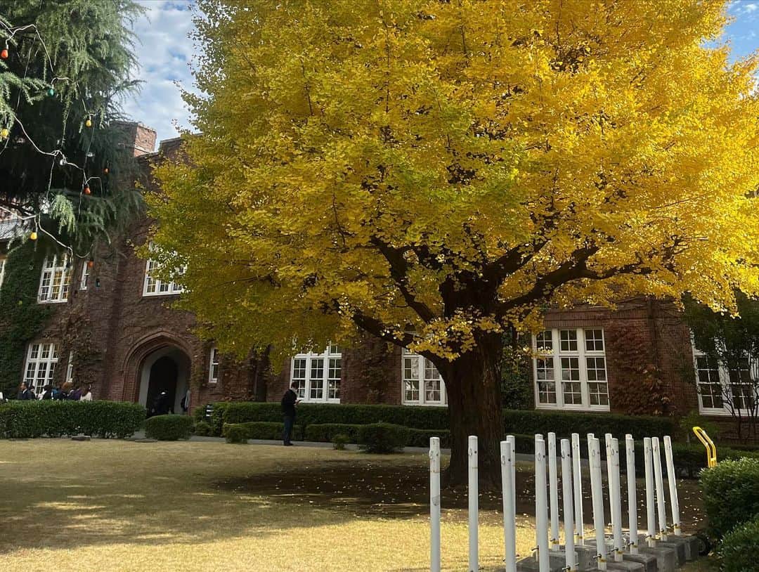 沖玲萌さんのインスタグラム写真 - (沖玲萌Instagram)「🌿🍂🍁」11月25日 23時07分 - remoni_oki