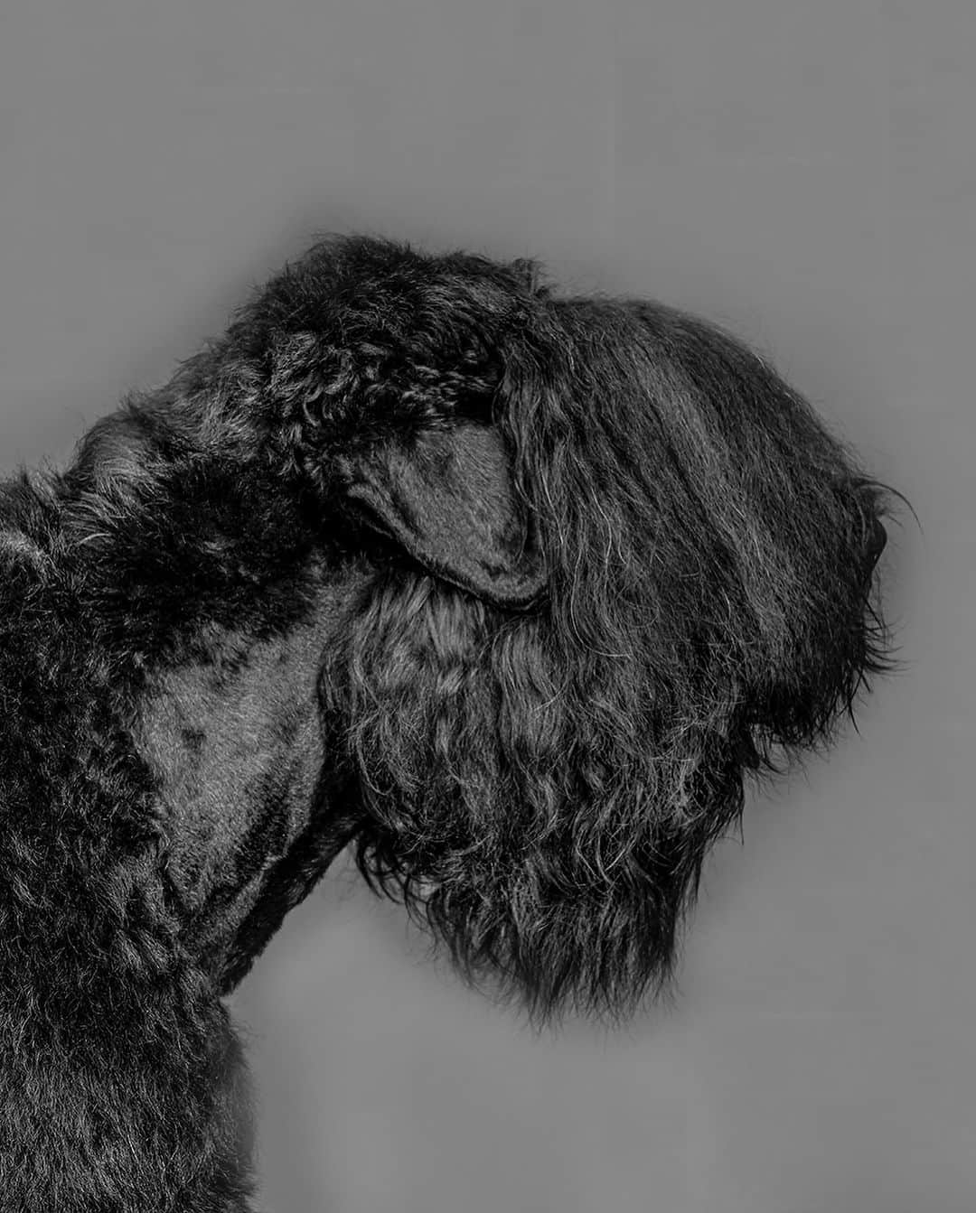 Robert Clarkさんのインスタグラム写真 - (Robert ClarkInstagram)「I meet GCH Over the ...