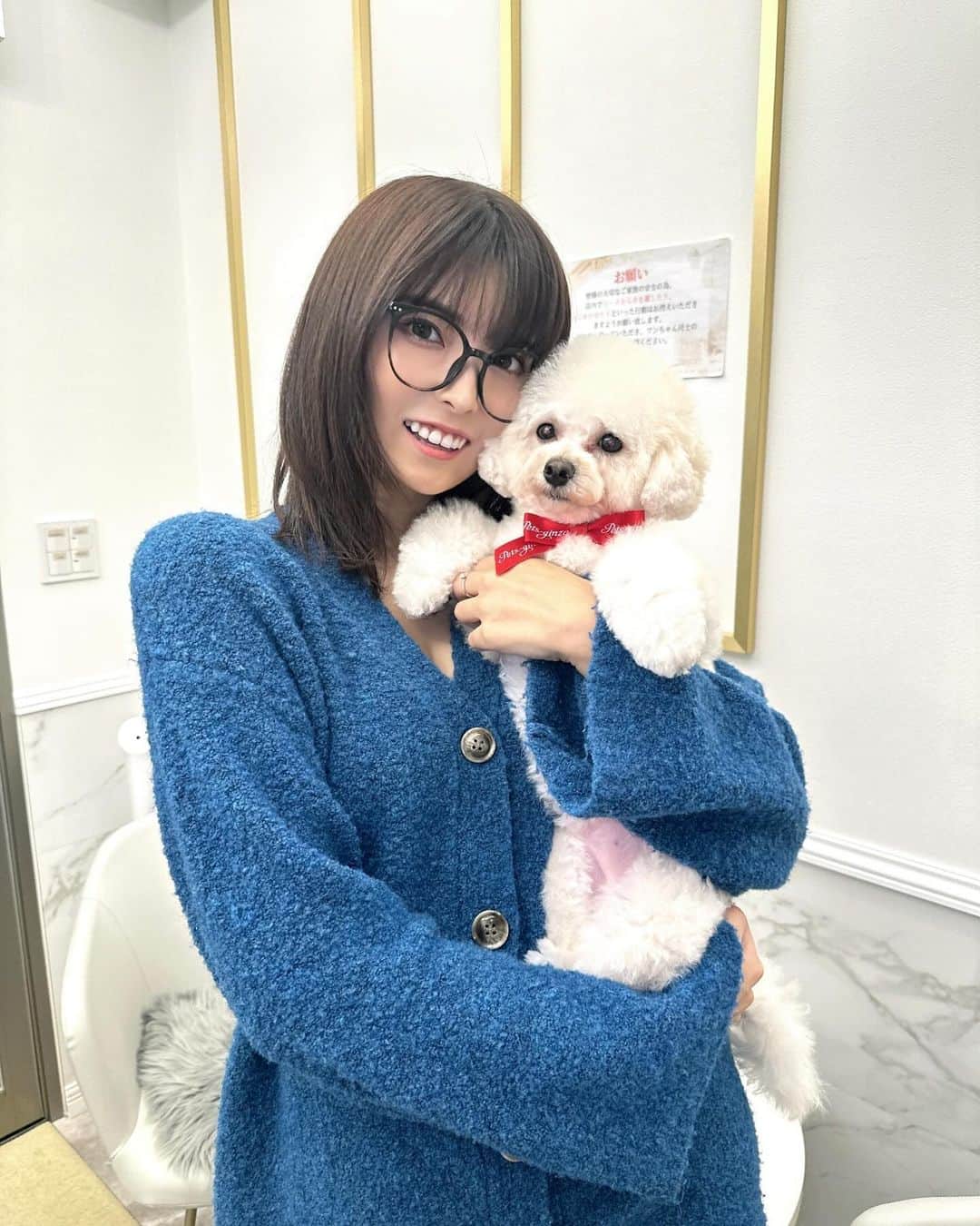 ききまるさんのインスタグラム写真 - (ききまるInstagram)「トリミング🐶 ️ . . 梅子がトリミングの間に ママは髪質改善トリートメントしてきた🙌 たくさん髪に栄養入れてもらった🤍 ...