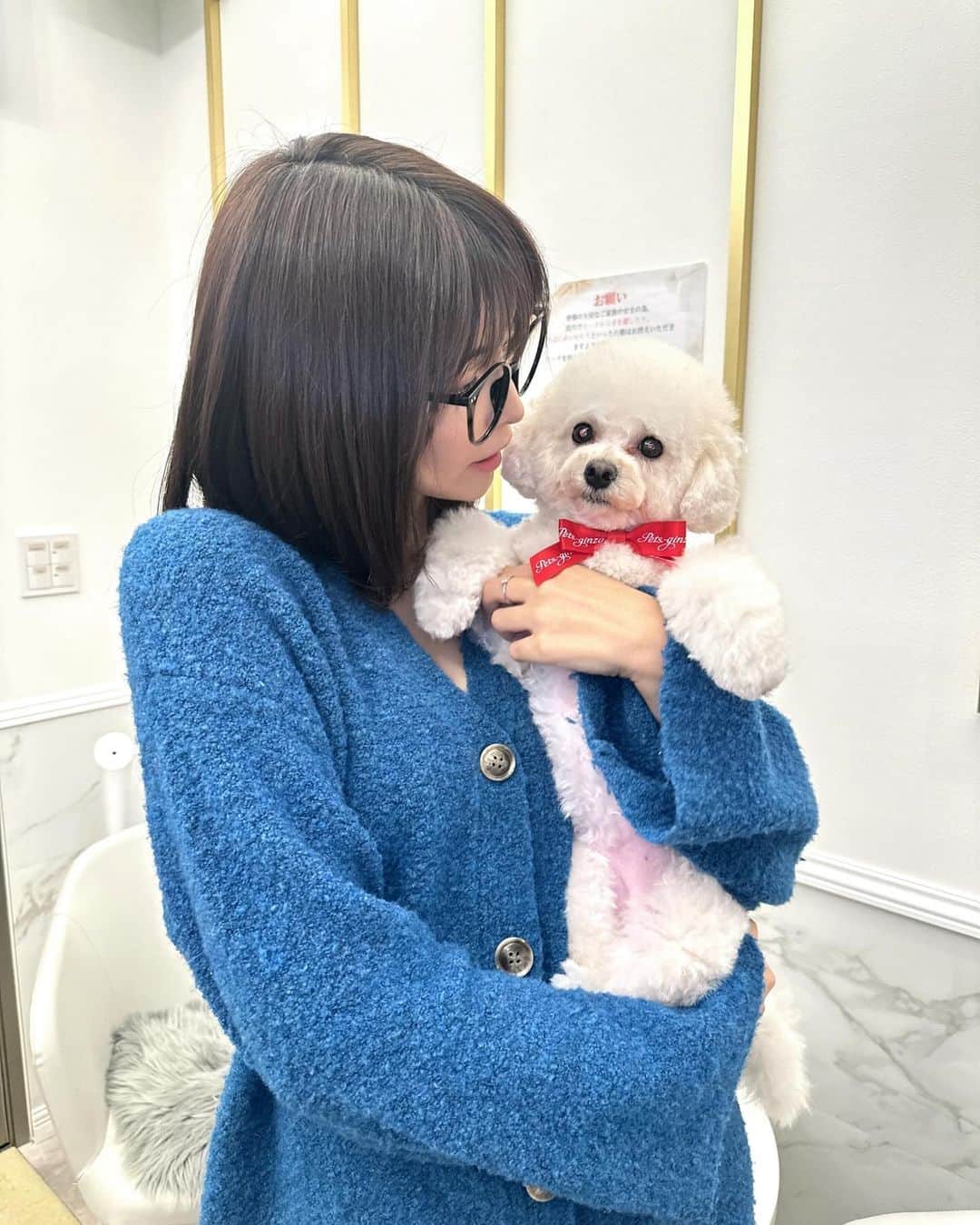 ききまるさんのインスタグラム写真 - (ききまるInstagram)「トリミング🐶 ️ . . 梅子がトリミングの間に ママは髪質改善トリートメントしてきた🙌 たくさん髪に栄養入れてもらった🤍 ...