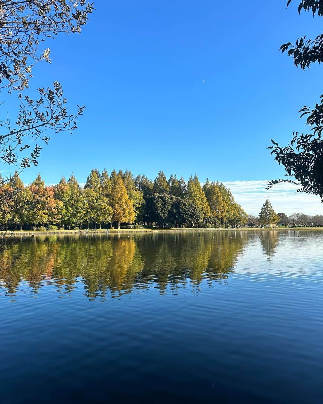 松川星さんのインスタグラム写真 - (松川星Instagram)「⁡ ちょっと前の。 秋を感じた日🍁🍂」12月9日 19時48分 - akarin__rin