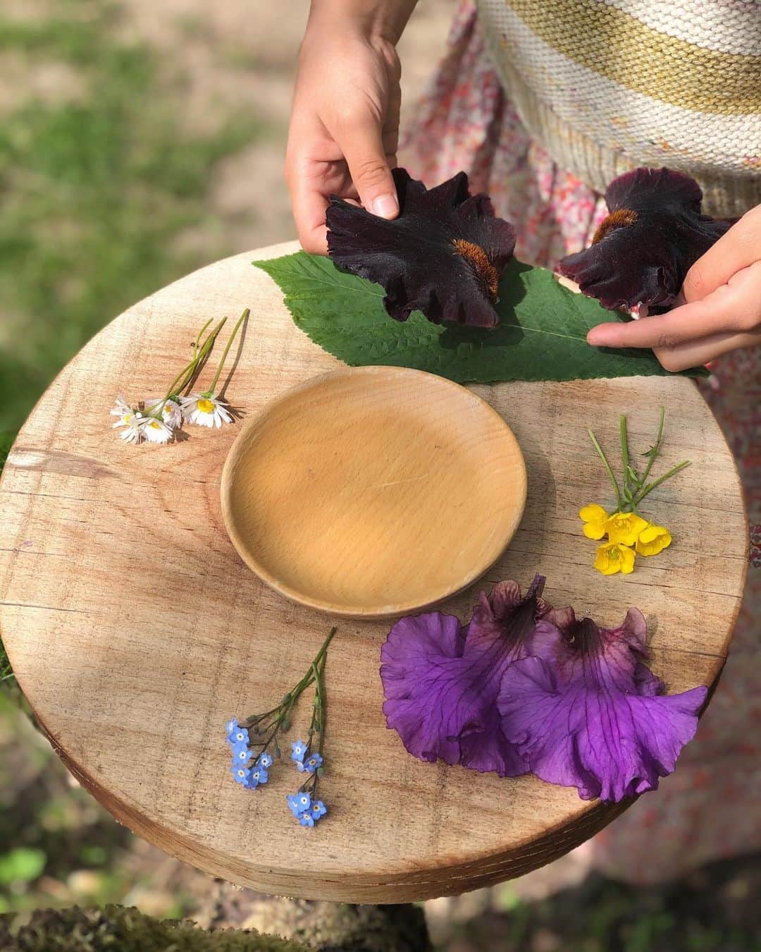 フィロとポンポンさんのインスタグラム写真 - (フィロとポンポンInstagram)「🌿Atelier spring rolls in the ...