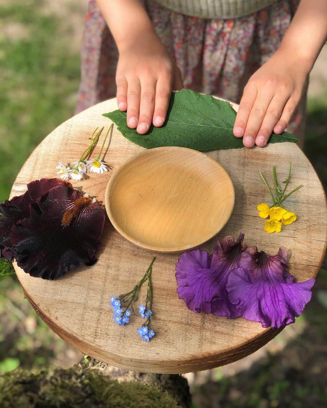 フィロとポンポンさんのインスタグラム写真 - (フィロとポンポンInstagram)「🌿Atelier spring rolls in the ...