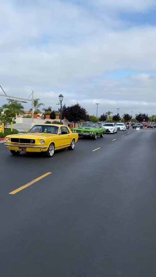 Classics Dailyさんのインスタグラム動画 - (Classics DailyInstagram)6月28日 0時49分 ...