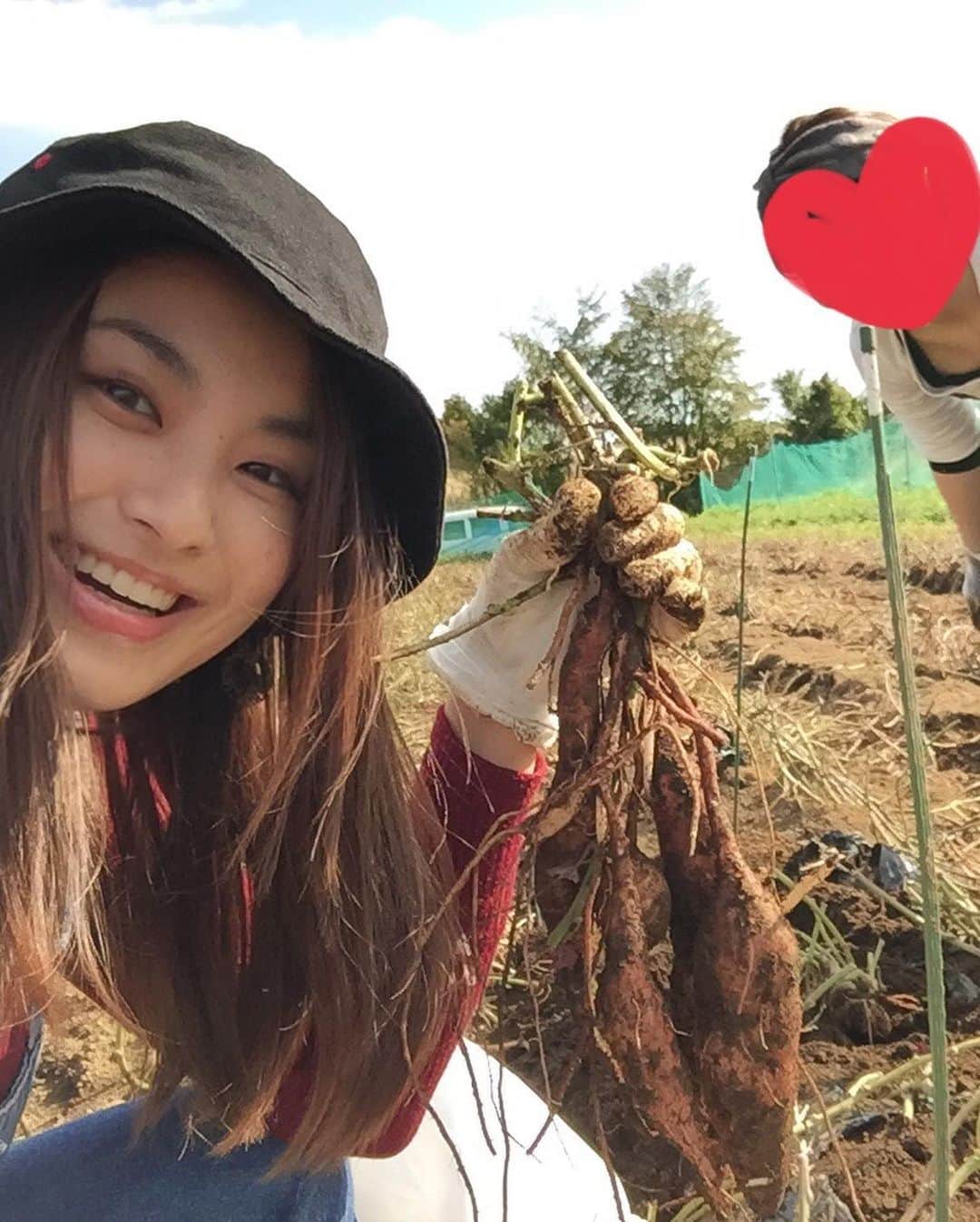 トロたんさんのインスタグラム写真 - (トロたんInstagram)「トロたんと旅するIN静岡 記憶に新しい芋掘りも静岡県( ੭˙꒳ ˙)੭🍠 ...