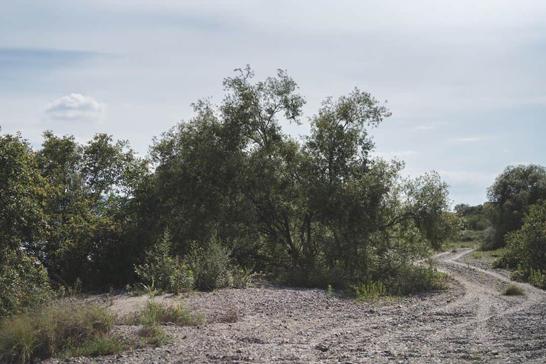 Shinsuke Inoueさんのインスタグラム写真 - (Shinsuke InoueInstagram)「Driving for 1.5km on sandy soil. Setting ...
