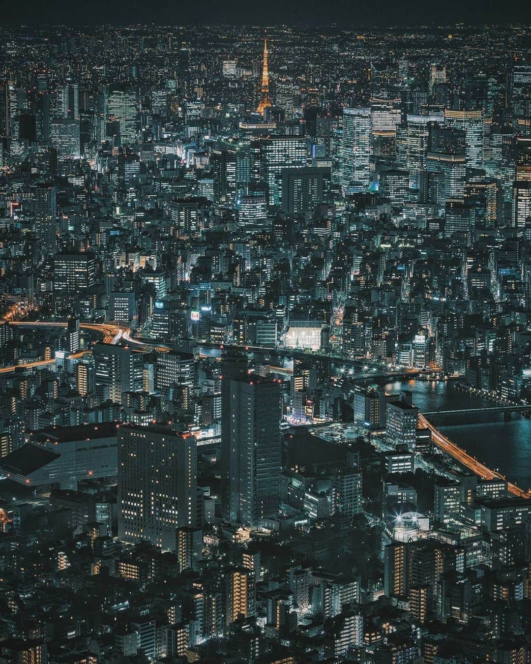 Berlin Tokyoさんのインスタグラム写真 - (Berlin TokyoInstagram)「A true beauty glows ...