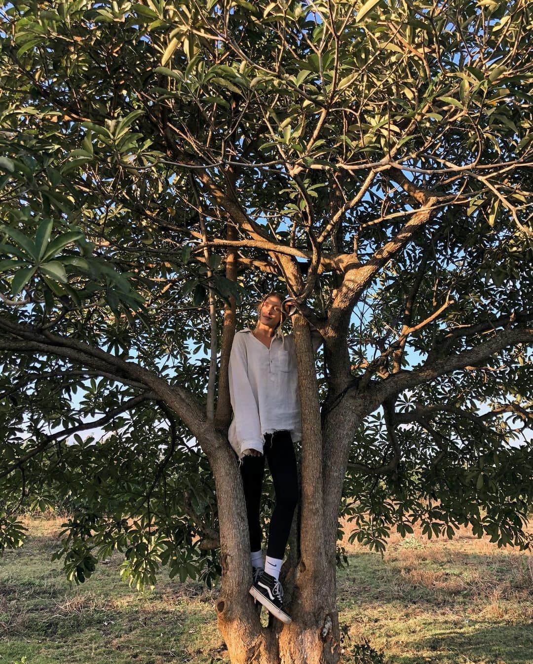 Dara Muscatさんのインスタグラム写真 - (Dara MuscatInstagram)「Climbing 🌳🐒🌳」8月17日 16時 ...