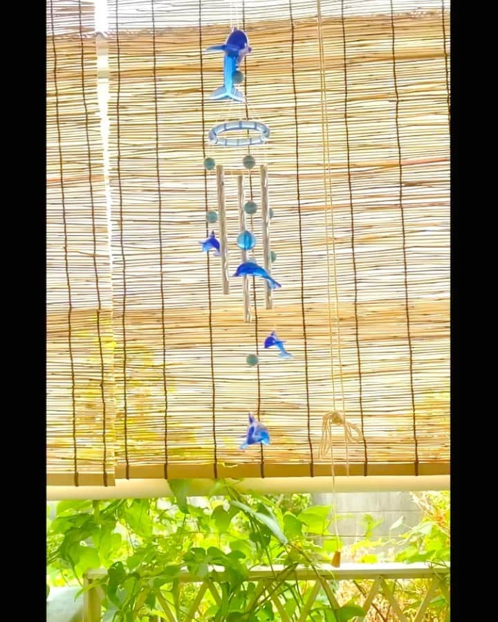 岡崎広平さんのインスタグラム - (岡崎広平@kohei.okazaki)