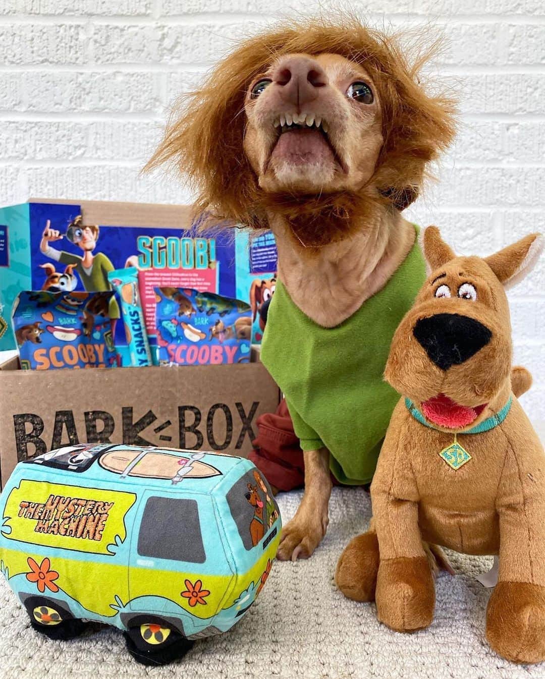 BarkBoxさんのインスタグラム写真 - (BarkBoxInstagram)「Missed out on all the toy ...