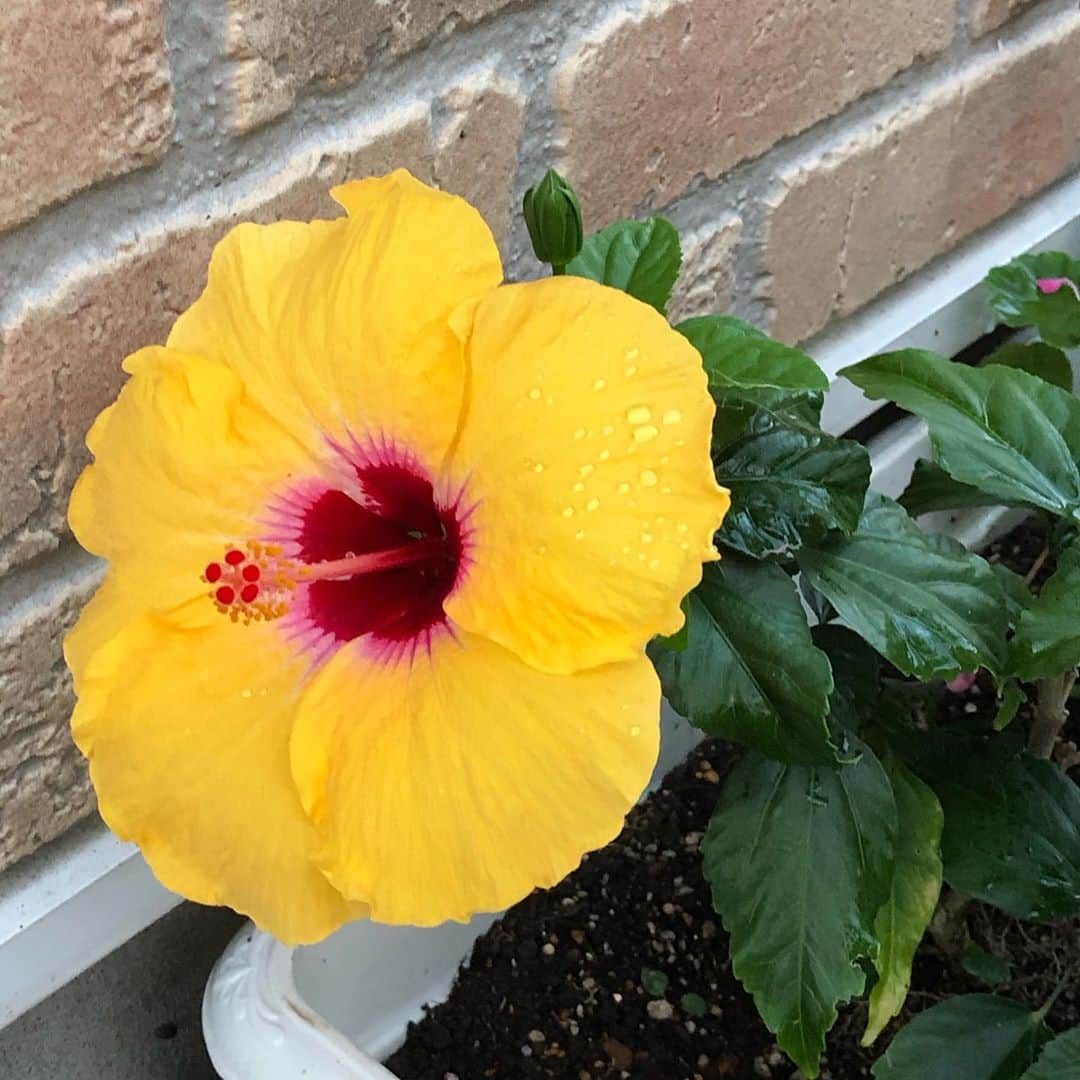 enakimuraさんのインスタグラム - (enakimura@enakimura)