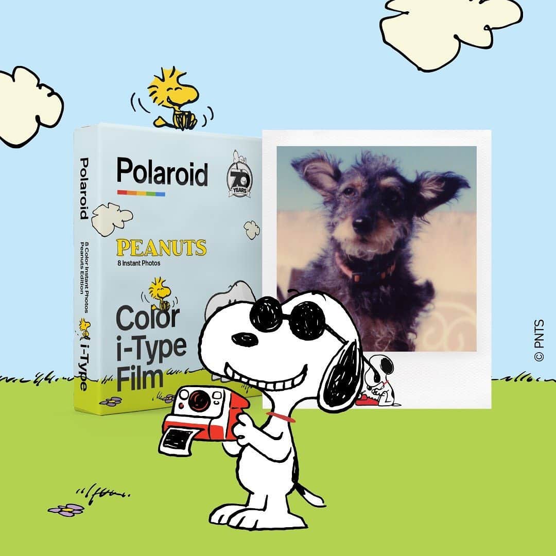 スヌーピーさんのインスタグラム写真 - (スヌーピーInstagram)「Celebrate 70 years since Snoopy ...