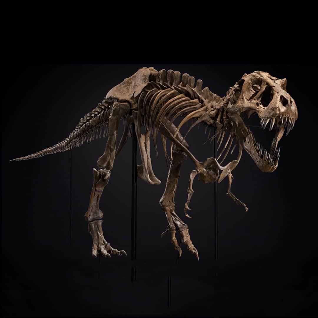 HYPEBEASTさんのインスタグラム写真 - (HYPEBEASTInstagram)「@hypebeastart ...