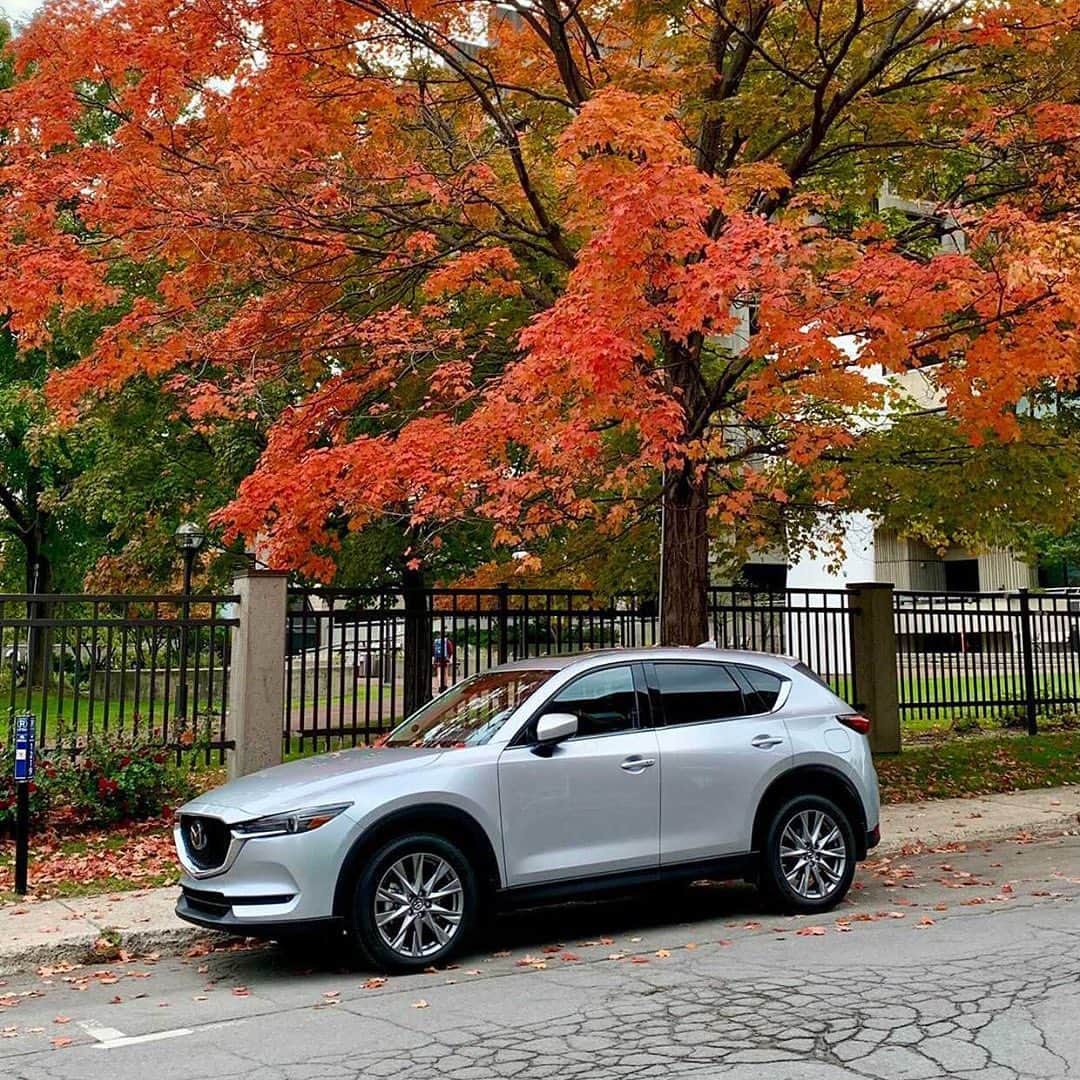 MAZDA Canadaさんのインスタグラム写真 - (MAZDA CanadaInstagram)「Leaves are falling ...