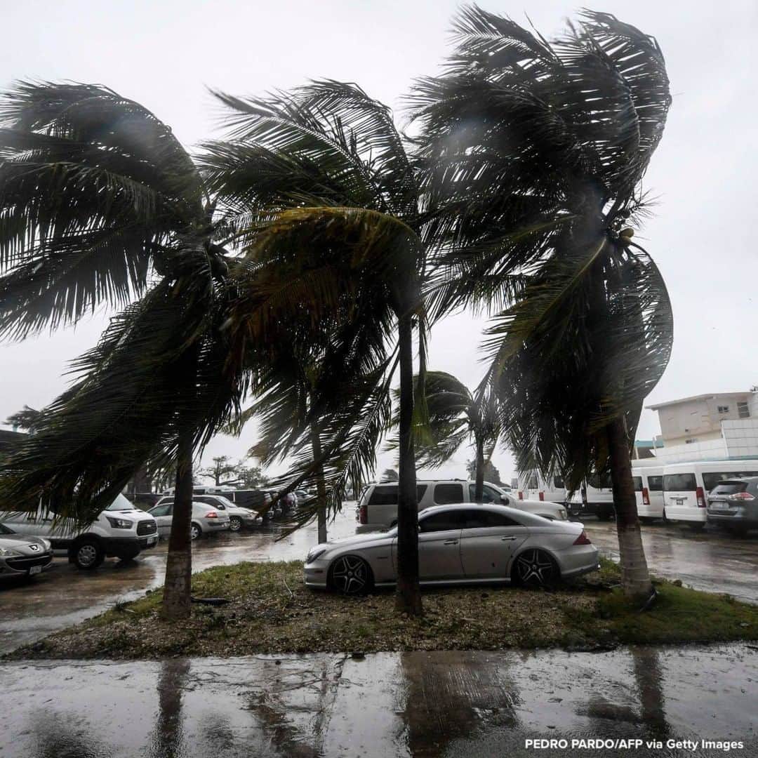 ABC Newsさんのインスタグラム写真 - (ABC NewsInstagram)「Winds lash palm trees after ...
