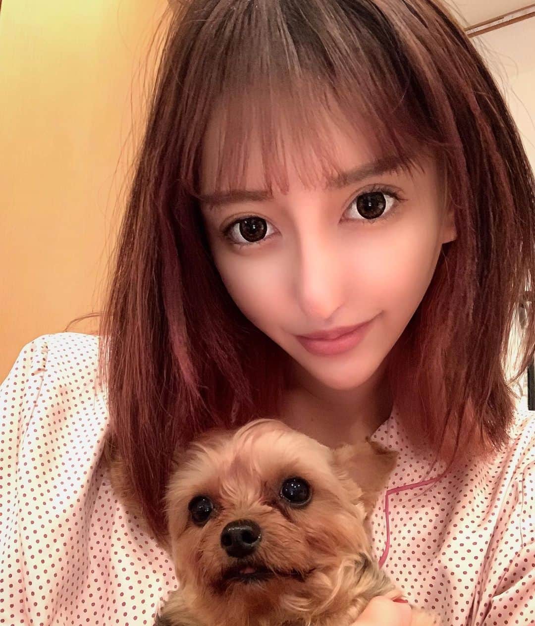 SEIRAさんのインスタグラム写真 - (SEIRAInstagram)「すこすこスコティッシュフィールド ️」10月19日 13時40分 ...