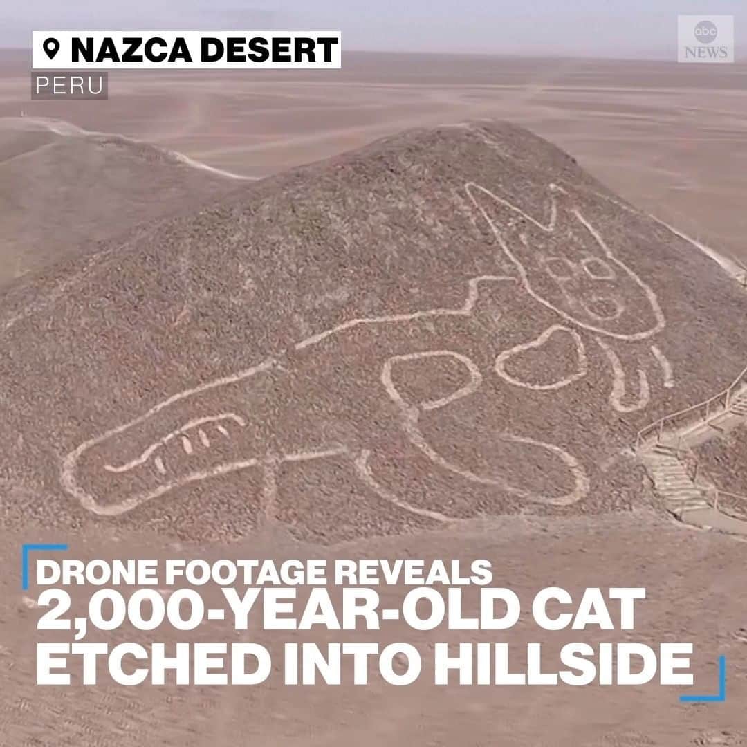 ABC Newsさんのインスタグラム動画 - (ABC NewsInstagram)「ANCIENT KITTY ...