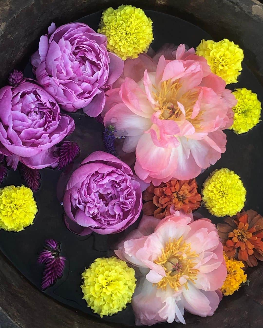 ガゴシアン・ギャラリーさんのインスタグラム写真 - (ガゴシアン・ギャラリーInstagram)「#JennySavile: "Elpis ...