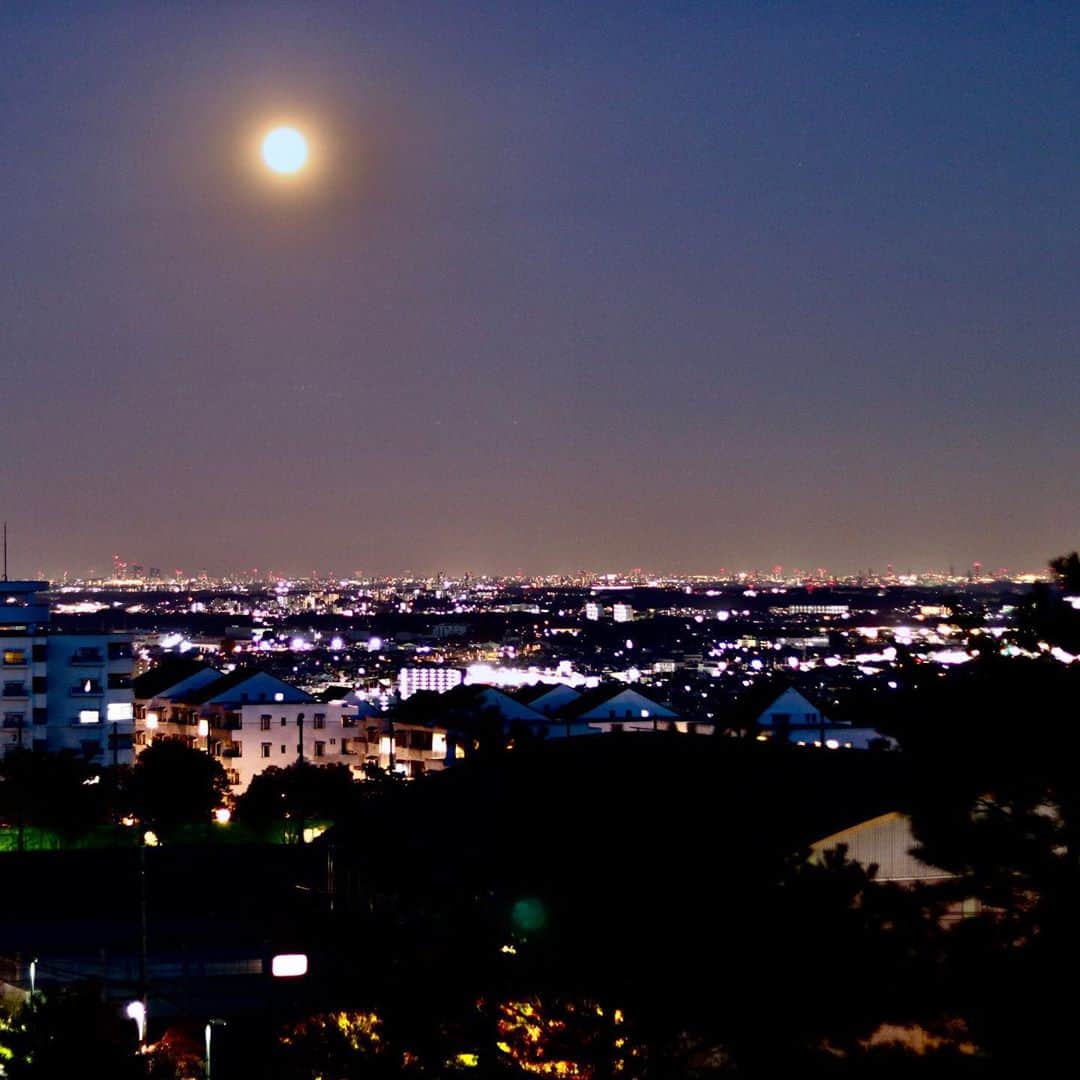 石松大晟さんのインスタグラム写真 - (石松大晟Instagram)「・﻿ 📷📷📸﻿ ﻿ #gopro #canon #camera # ...