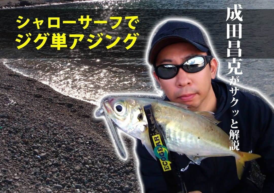 LureNews.TVさんのインスタグラム写真 - (LureNews.TVInstagram)「サーフのシャローでジグ単アジング！エコギア・成田昌克がサラッと解説 https://www ...