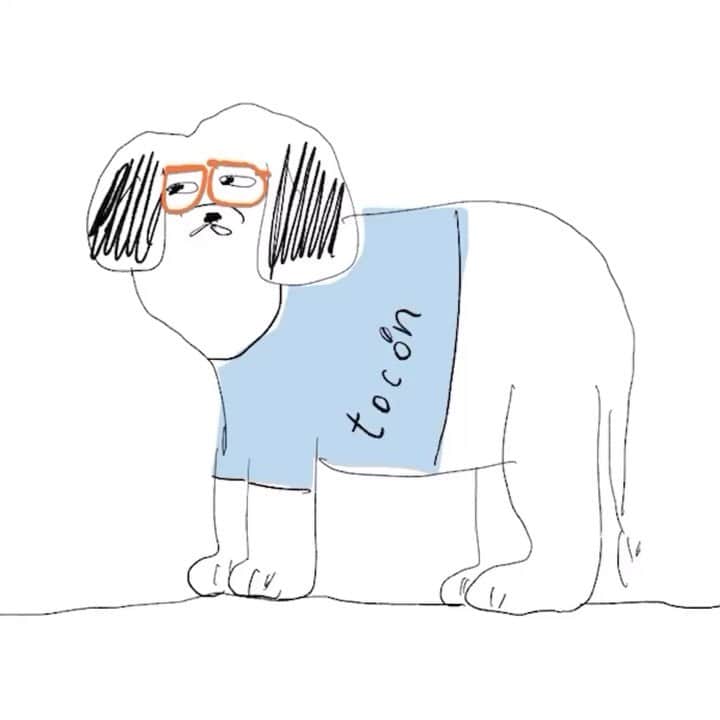 tocon (トコン) さんのインスタグラム動画 - (tocon (トコン) Instagram)「JUNICHI KOKA DRAWING ...