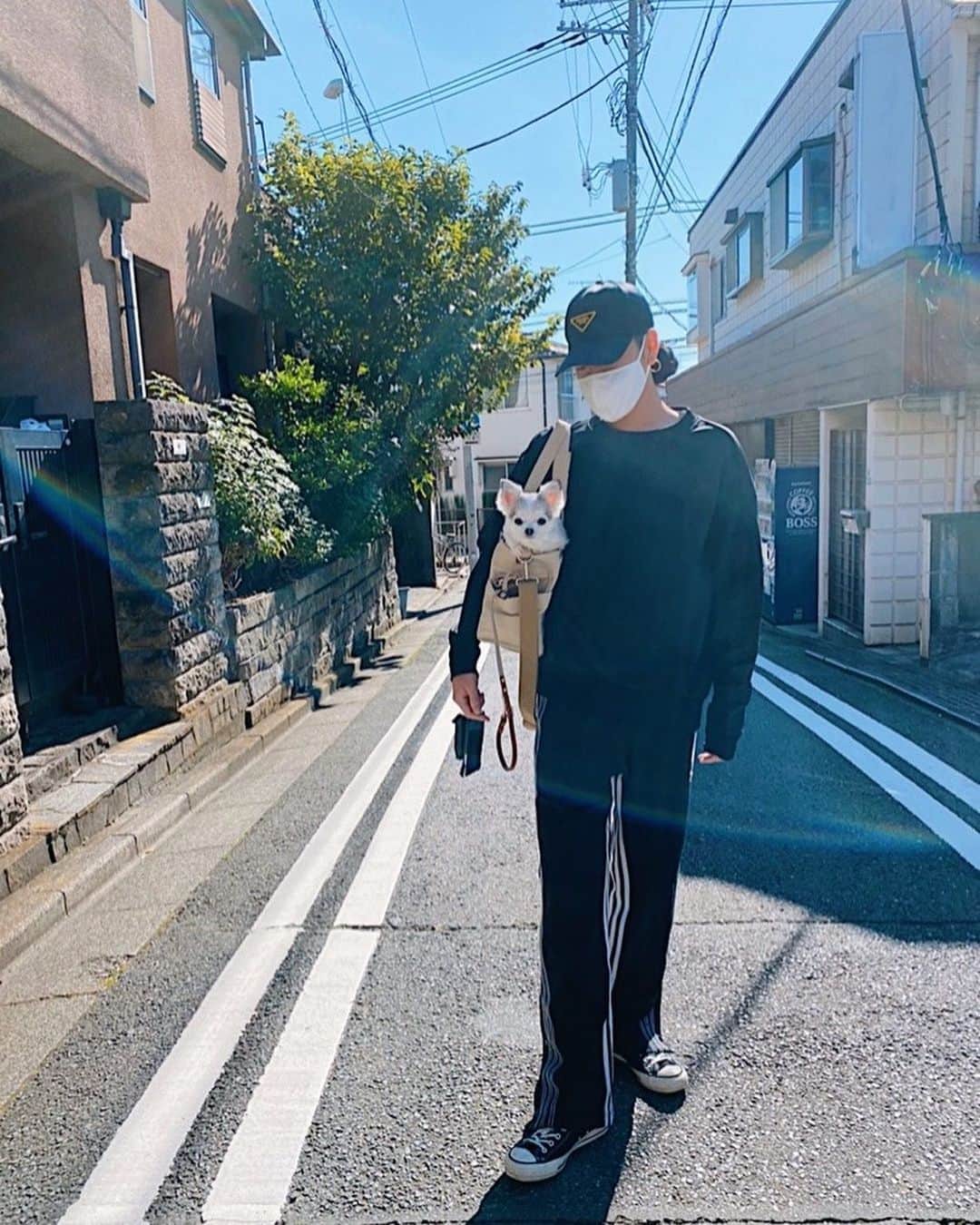 JunJunさんのインスタグラム写真 - (JunJunInstagram)「. 前のめりバニラ🦙☀️🍁 今日はバニラのトリミング ︎💈🐾」11月4日 16時23分 - junjun393