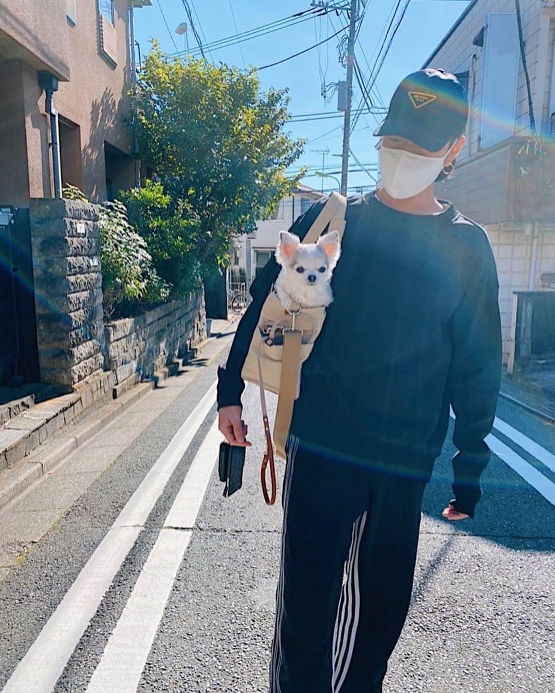 JunJunさんのインスタグラム写真 - (JunJunInstagram)「. 前のめりバニラ🦙☀️🍁 今日はバニラのトリミング ︎💈🐾」11月4日 16時23分 - junjun393