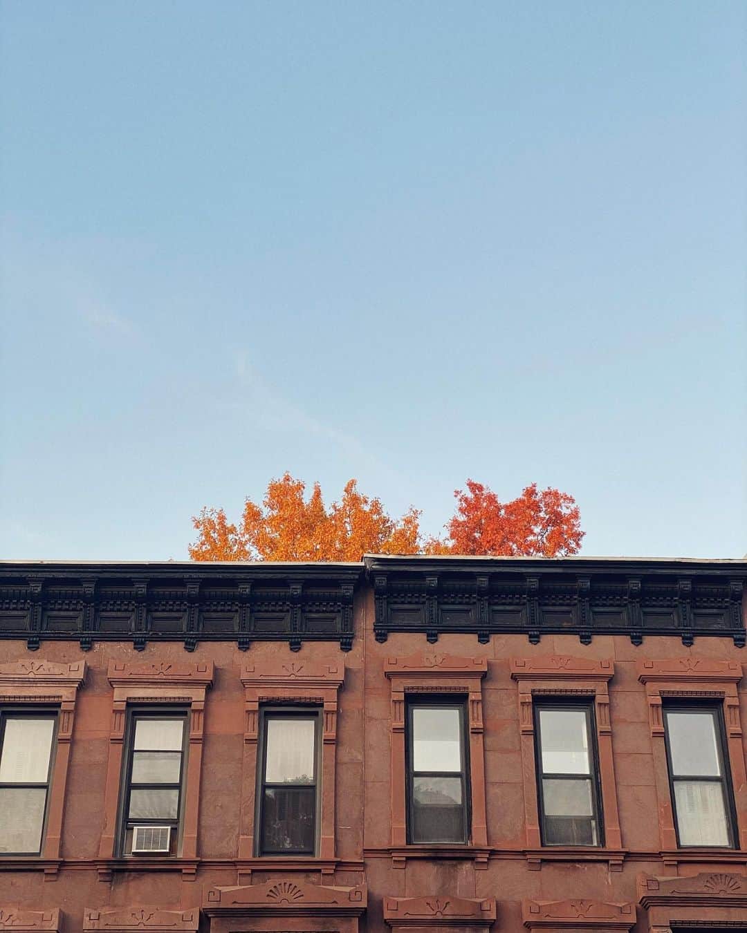 Reed Reederさんのインスタグラム - (Reed Reeder@reedreeder)