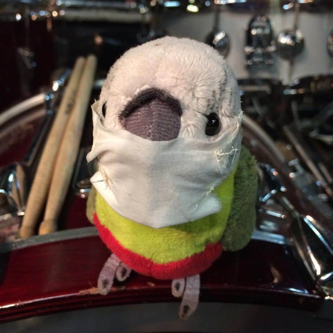 郡島陽子さんのインスタグラム写真 - (郡島陽子Instagram)「Online live concert streamed on Youtube! Thank you for your ...