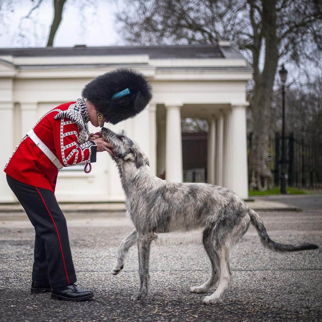 ウィリアム（ケンブリッジ公）さんのインスタグラム写真 - (ウィリアム（ケンブリッジ公）Instagram)「Say hello to ...