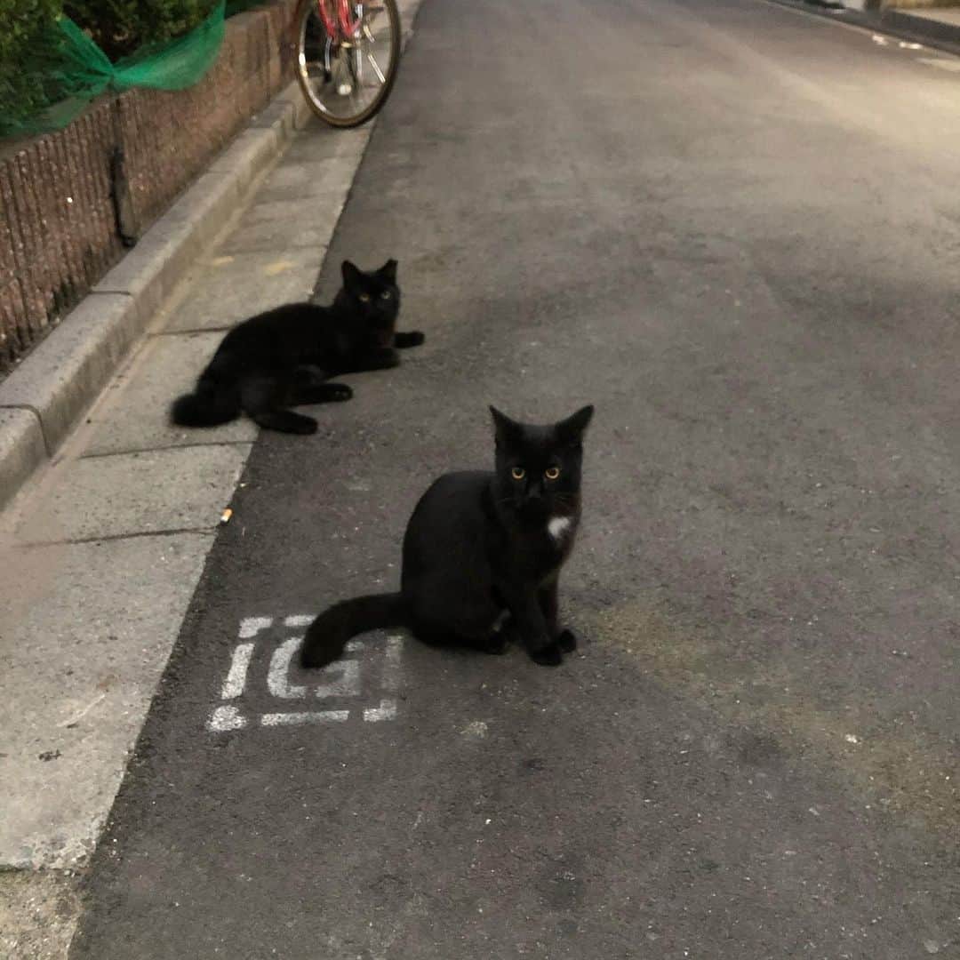 那須泰斗さんのインスタグラム写真 - (那須泰斗Instagram)12月11日 19時11分 - nasu__taito