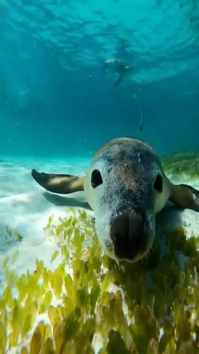 PicLab™ Sayingsさんのインスタグラム動画 - (PicLab™ SayingsInstagram)「Making new ...