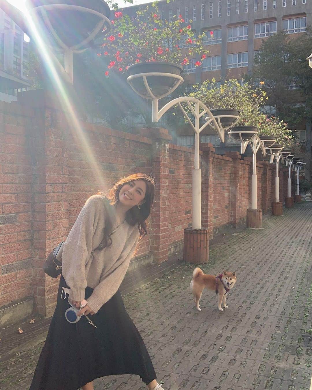 辜莞允（Nono Ku）さんのインスタグラム写真 - (辜莞允（Nono Ku）Instagram)「巴古自從結紮以來都沒做過血檢 因為也沒 ...
