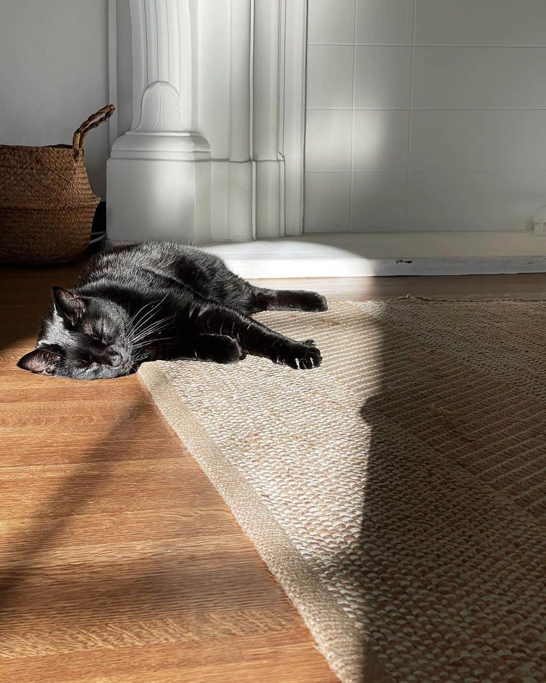 クレア・マーシャルさんのインスタグラム写真 - (クレア・マーシャルInstagram)「He’s solar powered.」2月5日 ...