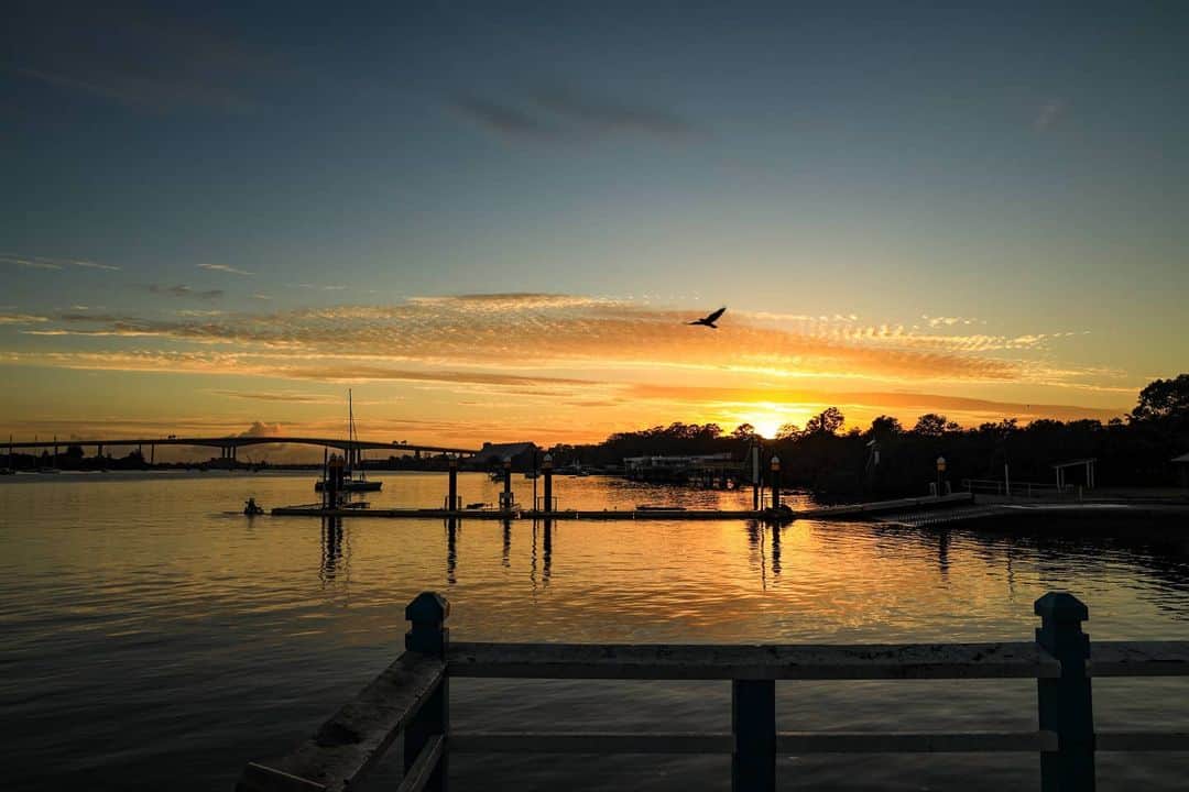 ケイト・キャンベルさんのインスタグラム写真 - (ケイト・キャンベルInstagram)「What a beautiful start to ...