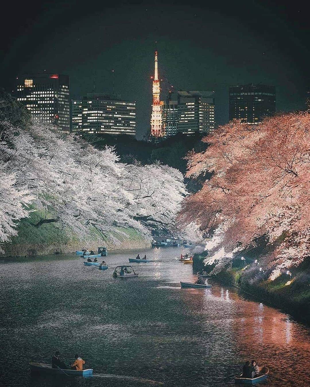 Berlin Tokyoさんのインスタグラム写真 - (Berlin TokyoInstagram)「Tokyo tower glowing ...