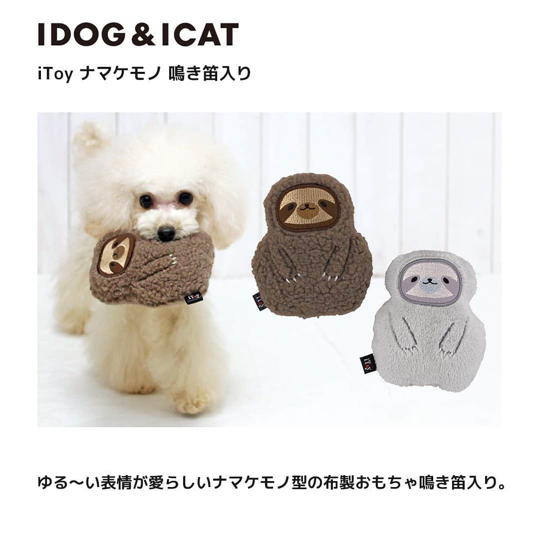 iDog&iCatさんのインスタグラム写真 - (iDog&iCatInstagram)「おうち時間にもオススメ♪ ゆる～い表情がキュートなナマケモノ型の布製のおもちゃ 「iDog iToy ...