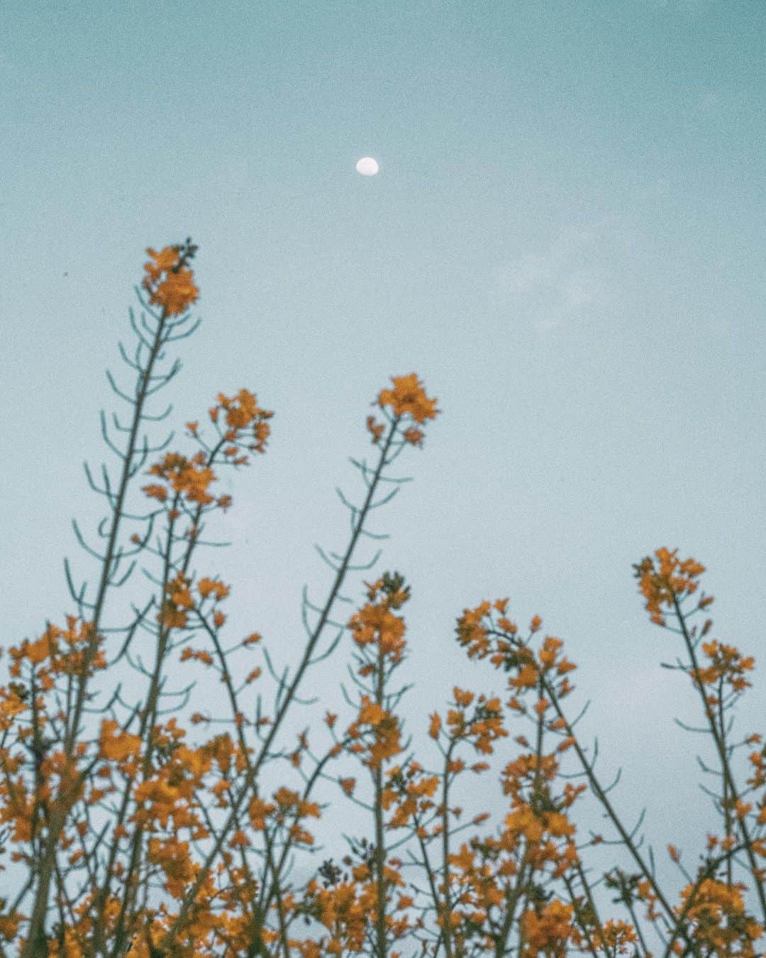 Abhinav Chandelさんのインスタグラム - (Abhinav Chandel@abhiandnow)