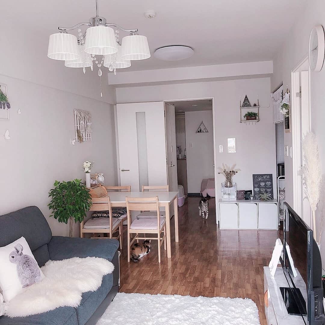 RoomClipJPさんのインスタグラム写真 - (RoomClipJPInstagram)「『シャンデリアのある部屋』きらきらと華やかな ...