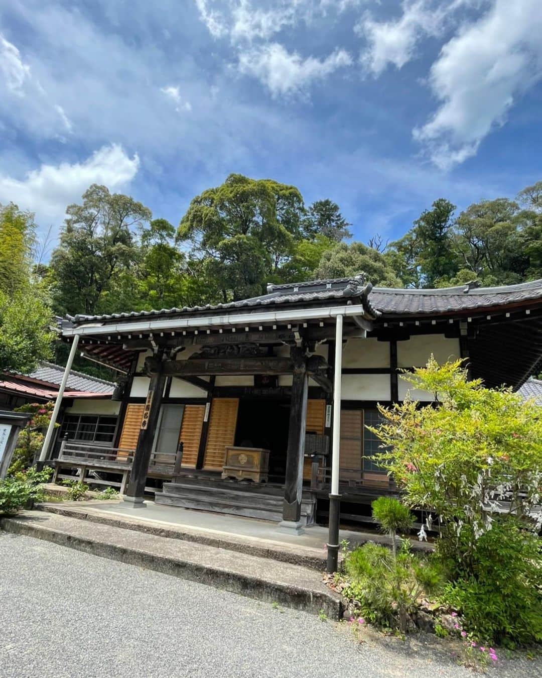 静岡朝日テレビ5chさんのインスタグラム写真 - (静岡朝日テレビ5chInstagram)「白木です！﻿ 明日はとびっきり！スポパラサンデー🌟﻿ ﻿ お守り特集⛩で、静岡のお寺や神社を回り ...