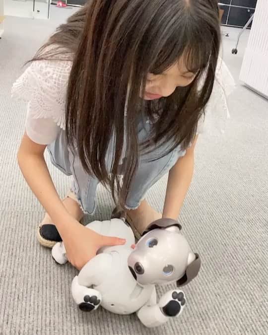 新井美羽さんのインスタグラム動画 - (新井美羽Instagram)「. #女優アカデミー 3時間目 配信開始しました！ ⁡ お題は「ドラマ ...