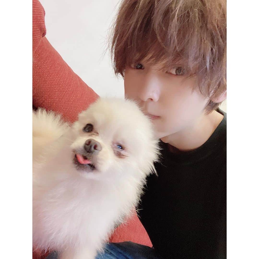 四季涼雅さんのインスタグラム - (四季涼雅@9bic_ryoga)