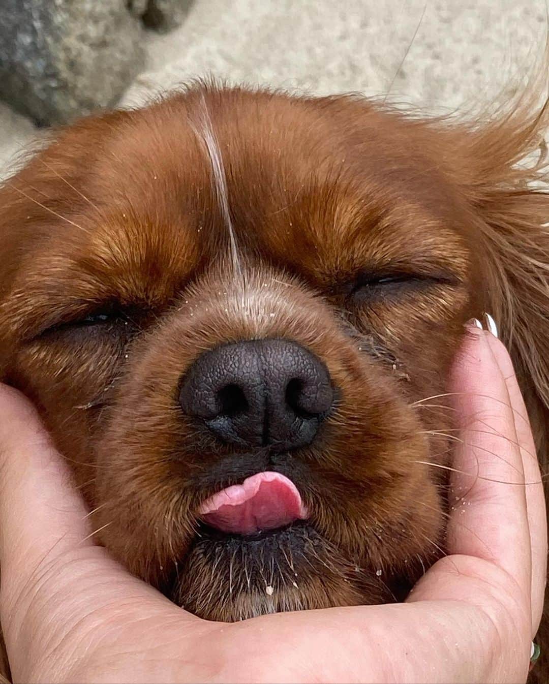 Julia Kellyさんのインスタグラム写真 - (Julia KellyInstagram)「Palm readers wanted 🏽 ...