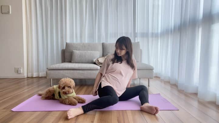 Hisanaさんのインスタグラム動画 Hisanainstagram 「毎日こんな感じの私たち🐻👩🏻笑笑 これは股関節周りを柔らかくする