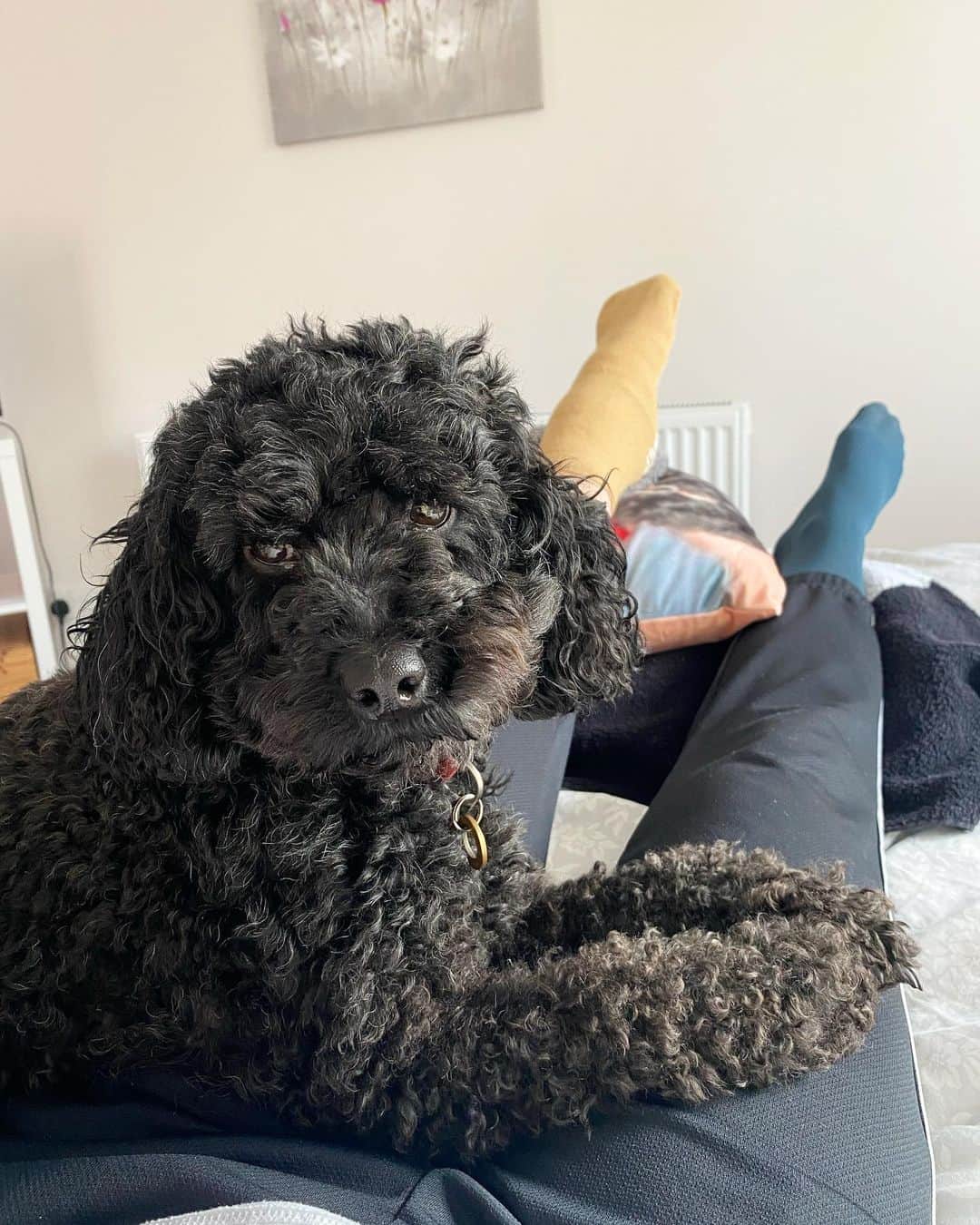 エイミー・オールコックさんのインスタグラム - (エイミー・オールコック@amy_allcock)