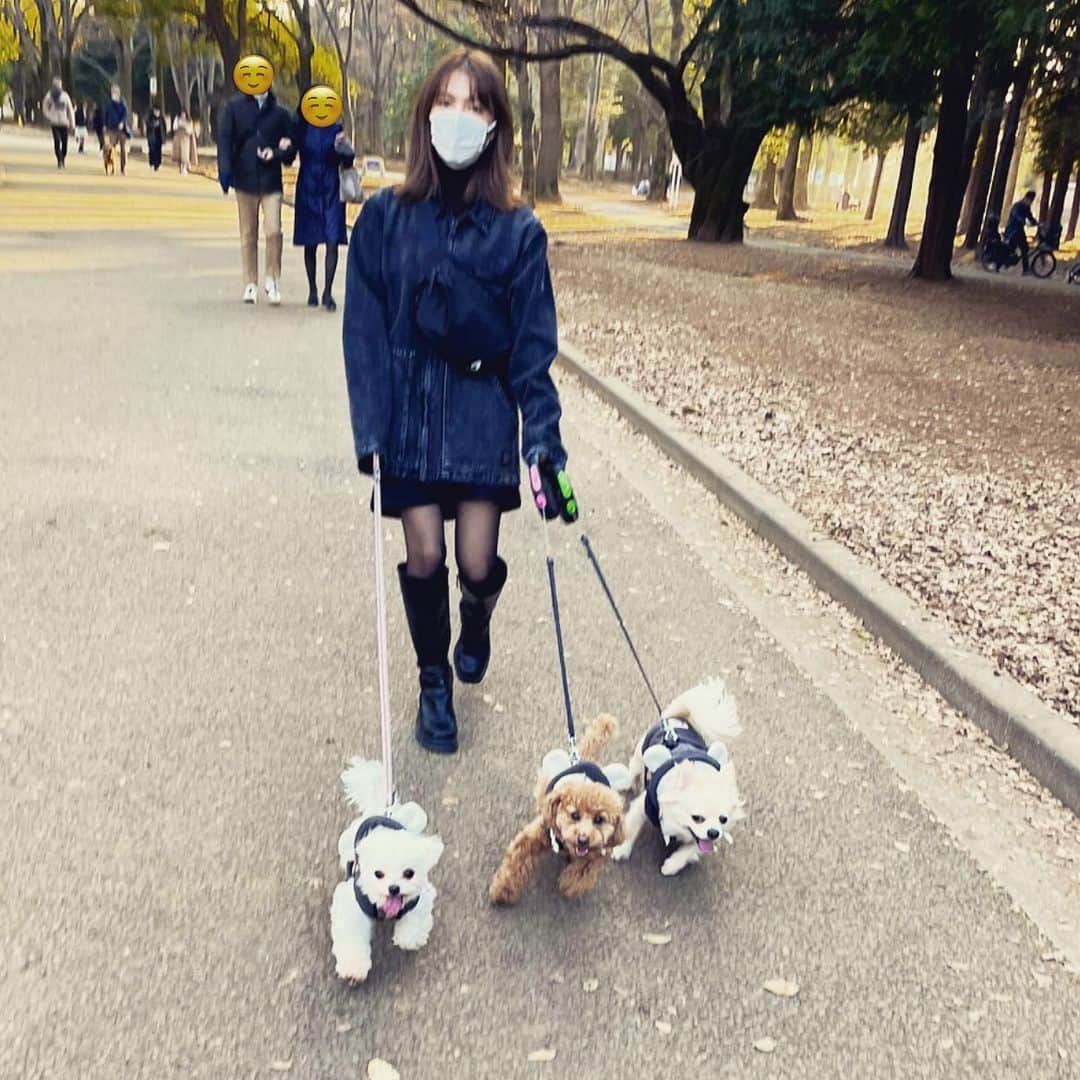 寺本莉緒さんのインスタグラム写真 - (寺本莉緒Instagram)「Family🐶」1月16日 16時41分 - lespros_rio