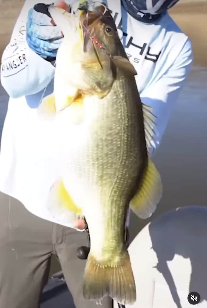 Filthy Anglers™さんのインスタグラム - (Filthy Anglers™@filthyanglers)