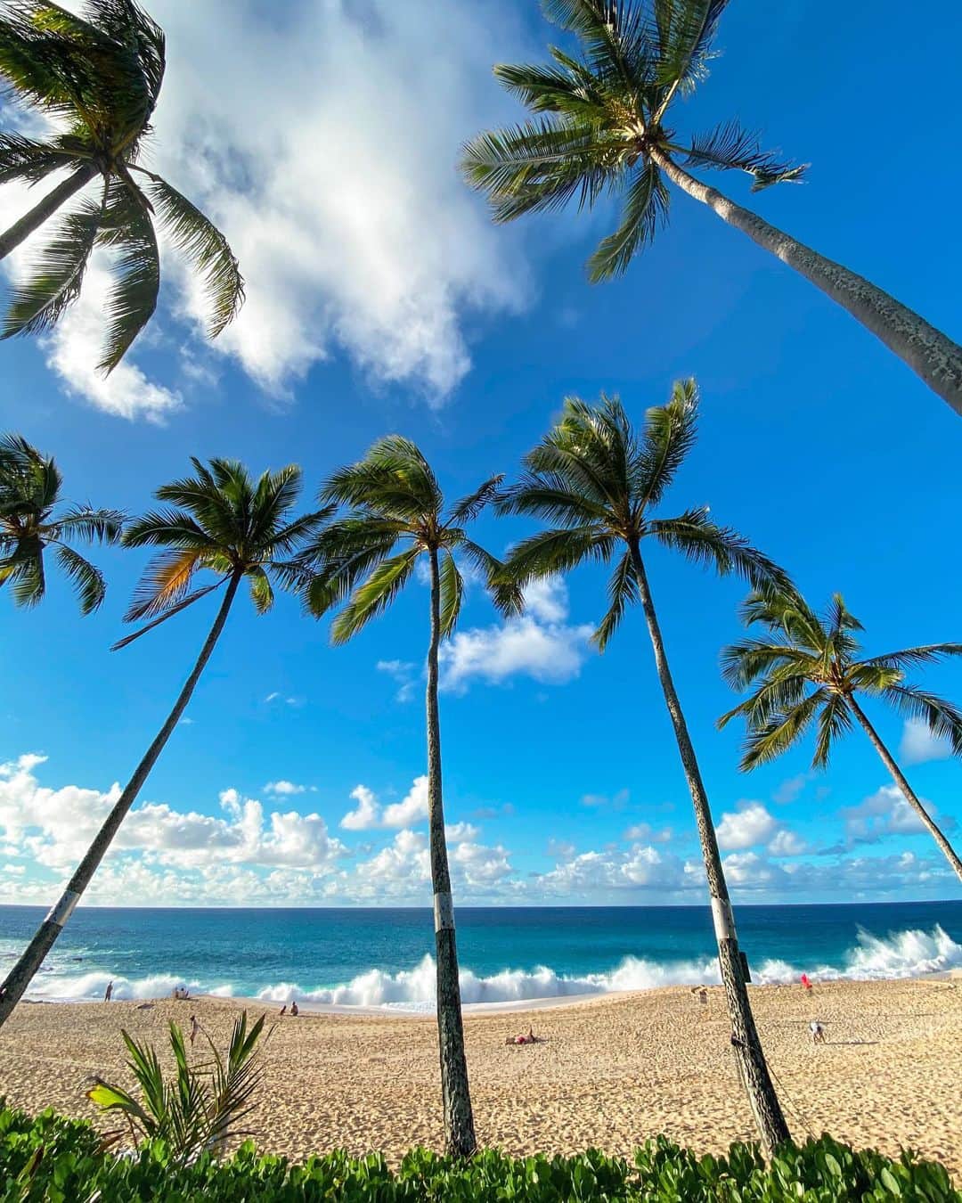 COCOさんのインスタグラム - (COCO@cocomermaid808)